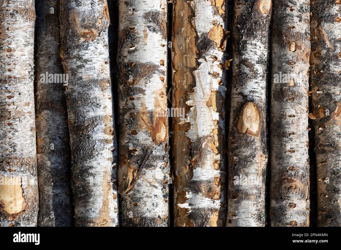 birch logs in rows. the trees are stacked with stacks. timber. High ...