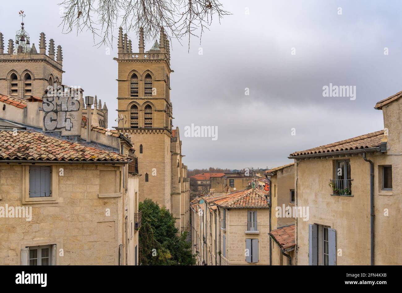 Traditional houses in Montpellier with the Saint Peter Montpellier ...