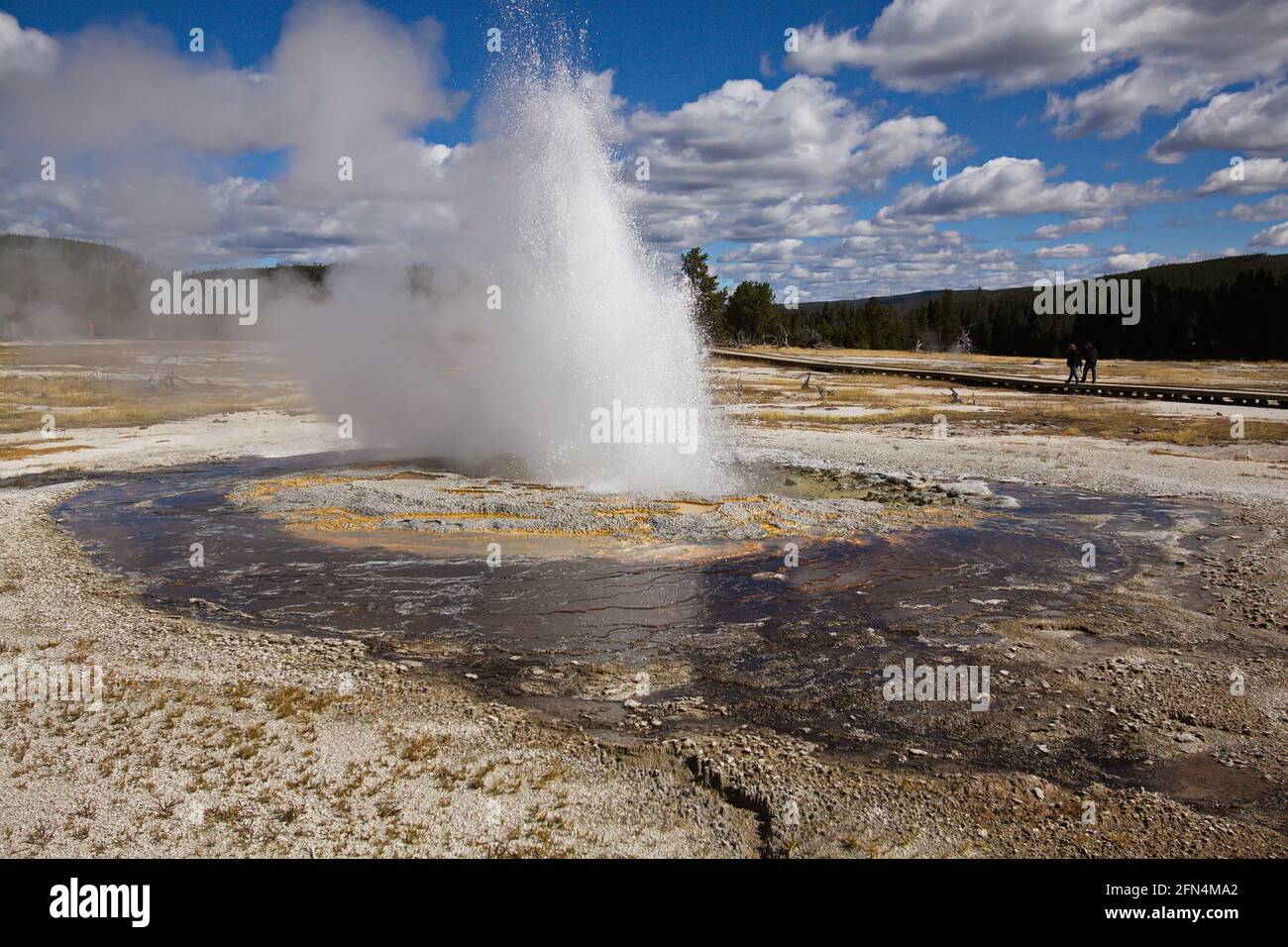 Jewel Geyser in Biscuit Basin in Yellowstone National Park in Wyoming ...