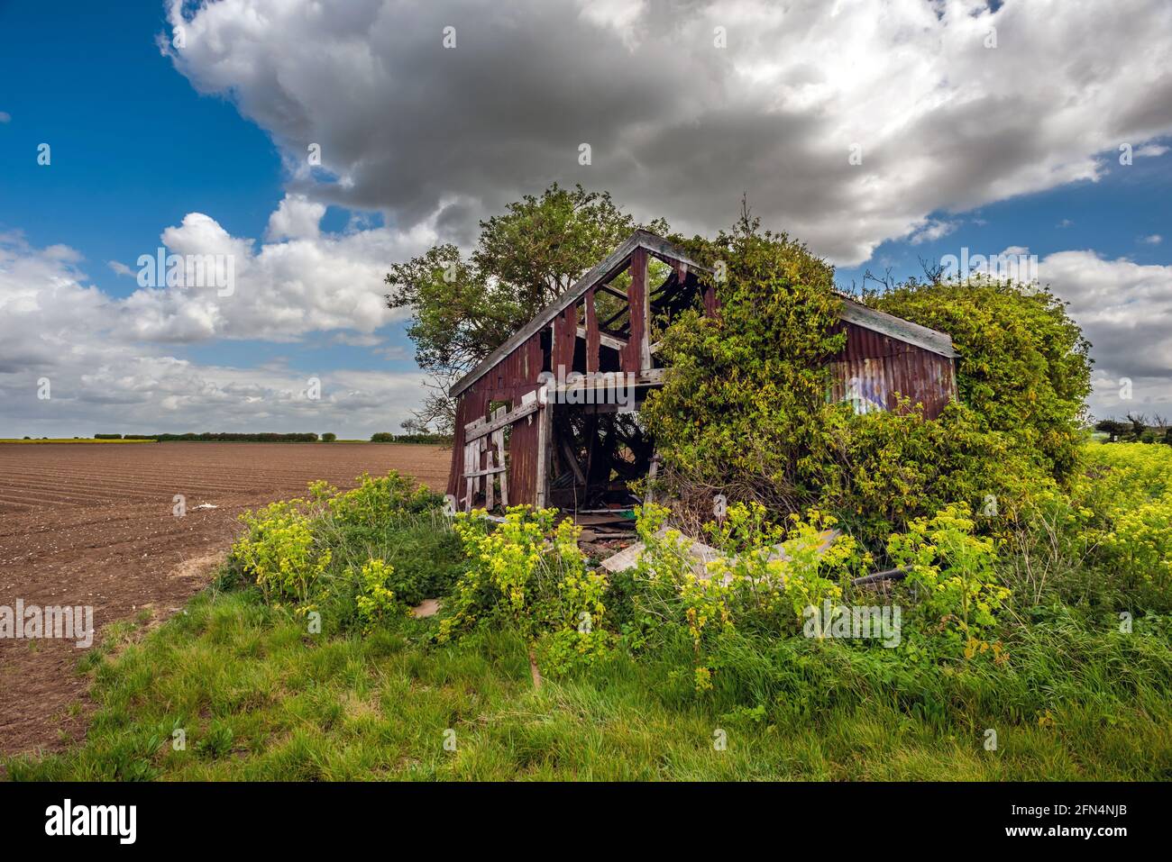 Cooling, May 12th 2021: A disused barn on the Hoo Peninsula, Kent Stock ...