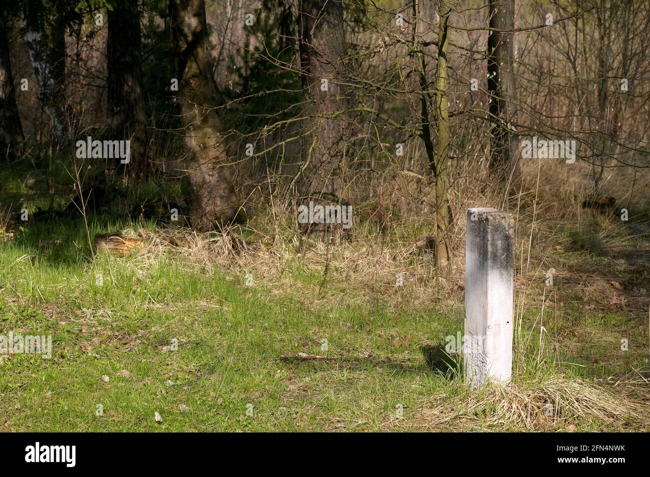 Concrete pylons pillars hi-res stock photography and images - Alamy