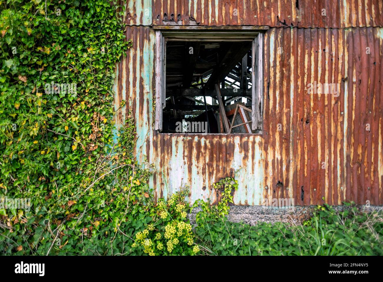 Cooling, May 12th 2021: A disused barn on the Hoo Peninsula, Kent Stock ...