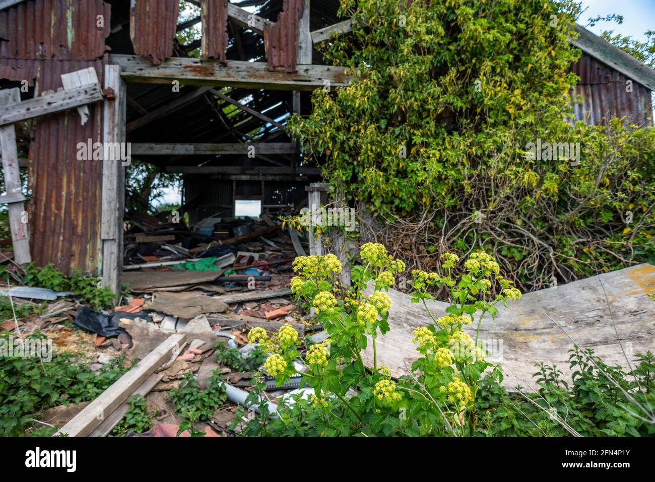 Cooling, May 12th 2021: A disused barn on the Hoo Peninsula, Kent Stock ...