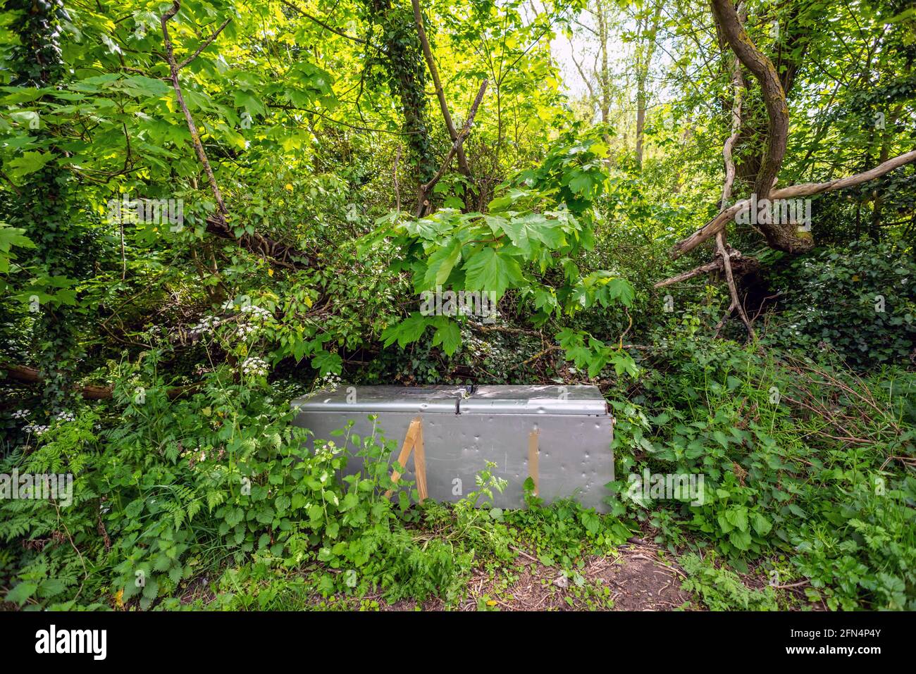 Cooling, May 12th 2021: A fly-tipped fridge at Cliffe Pools RSPB site ...
