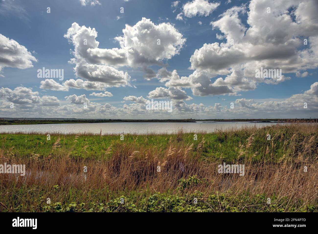 Cooling, May 12th 2021: A rural scene at Cliffe Pools RSPB site at ...