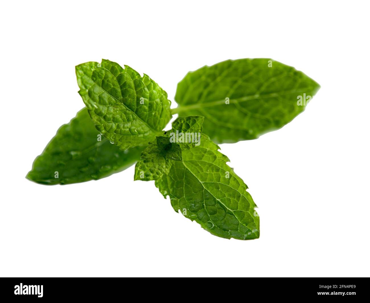 Cl20210502 hi-res stock photography and images - Alamy