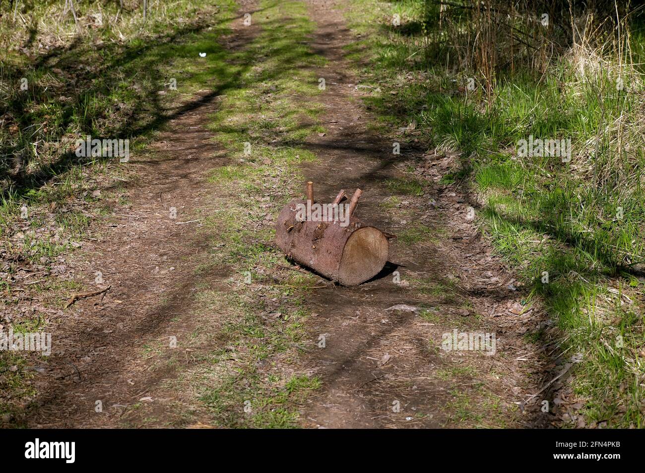 Twig formation hi-res stock photography and images - Alamy