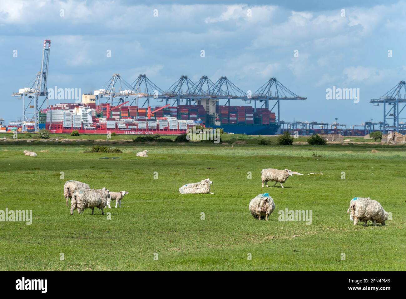 Cooling, May 12th 2021: Looking across to the London Gateway Port from ...