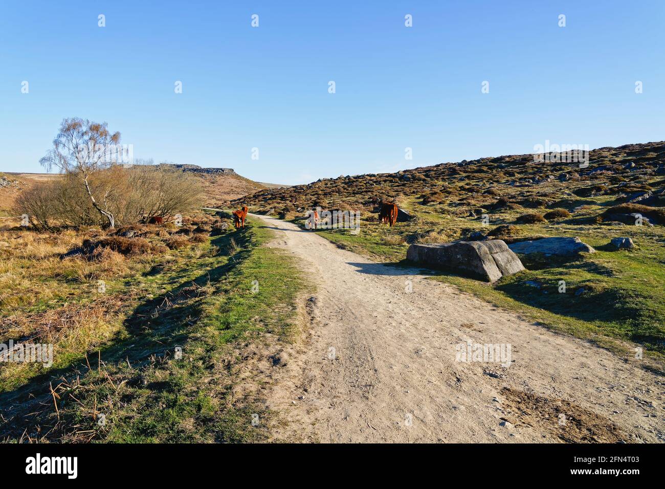 Burbage south valley peak district hi-res stock photography and images ...