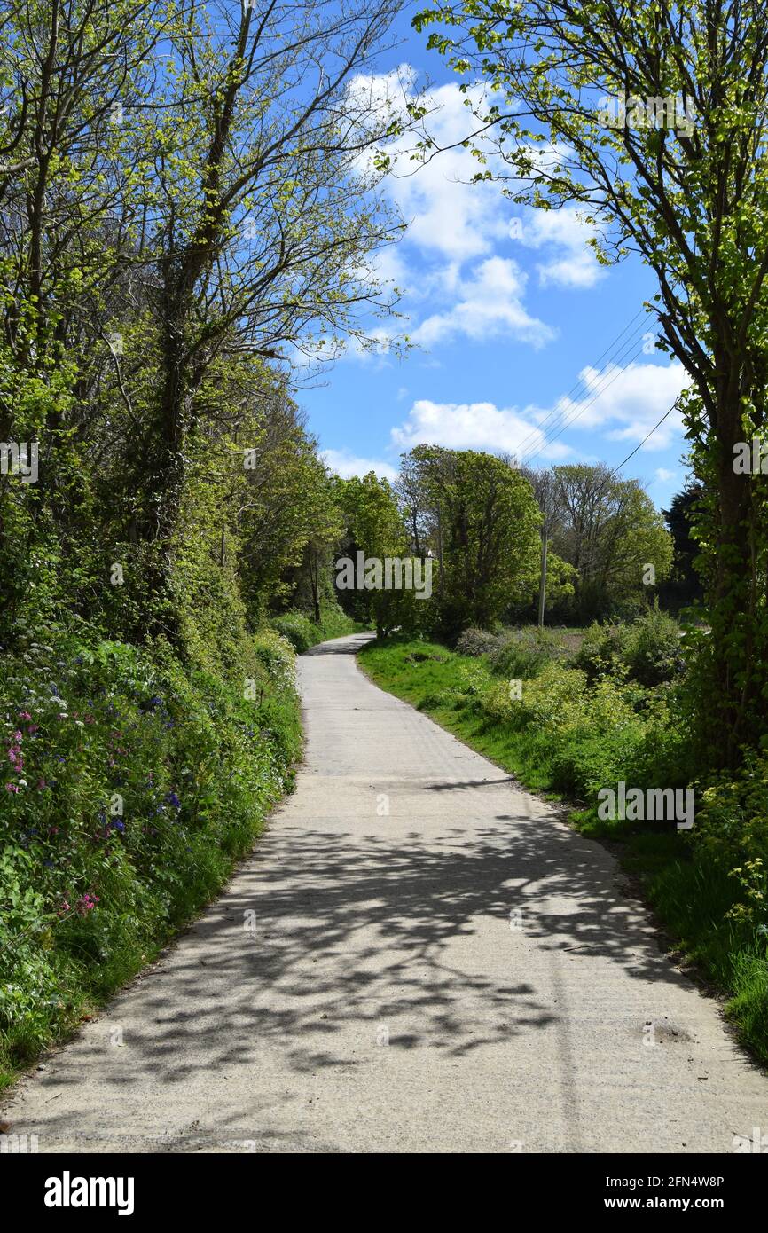 Country Road #2 Stock Photo - Alamy