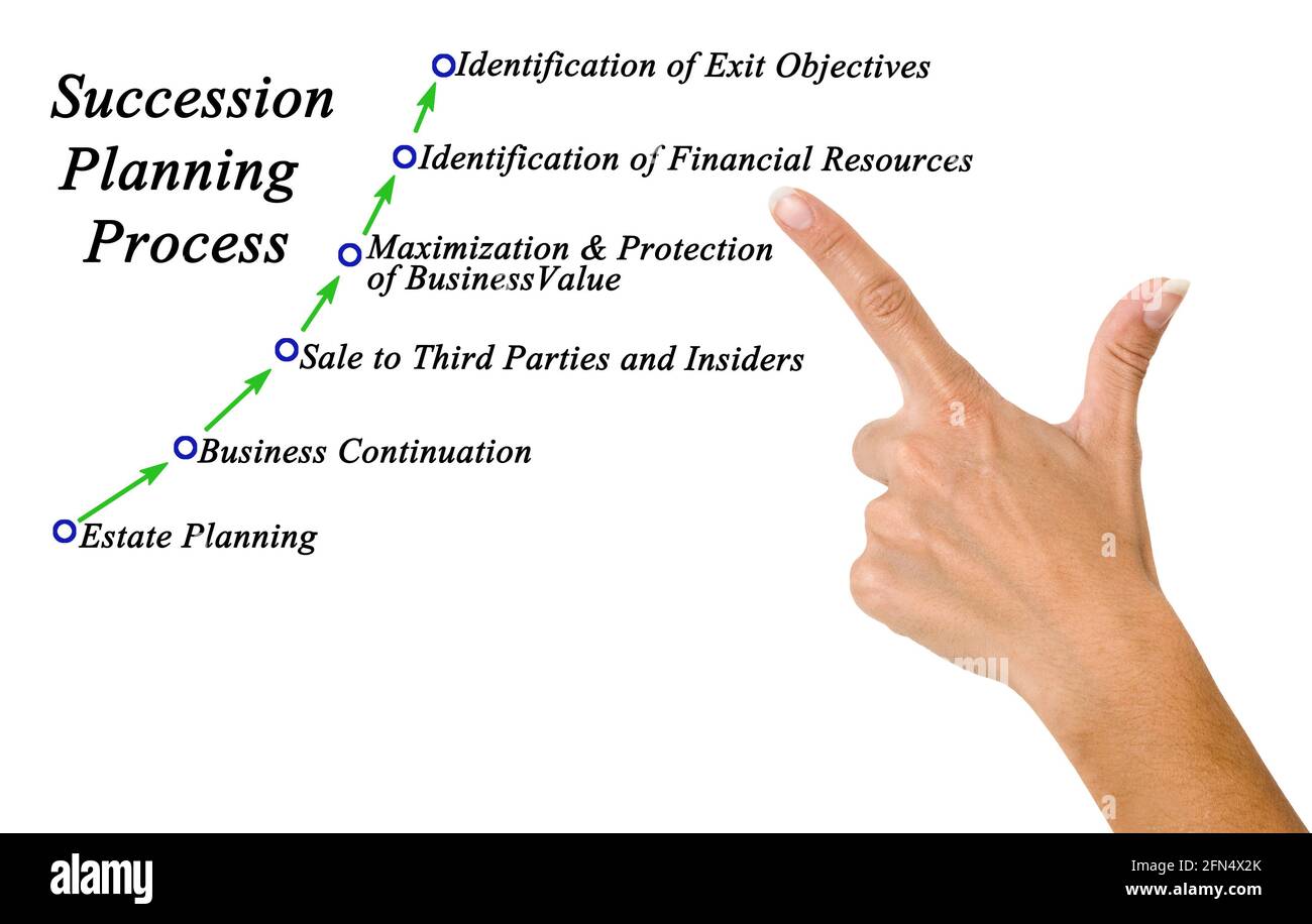 Components of Succession Planning Process Stock Photo - Alamy