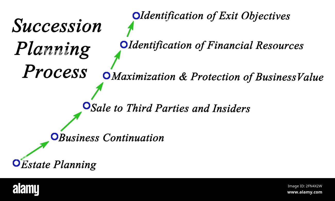 Components of Succession Planning Process Stock Photo - Alamy