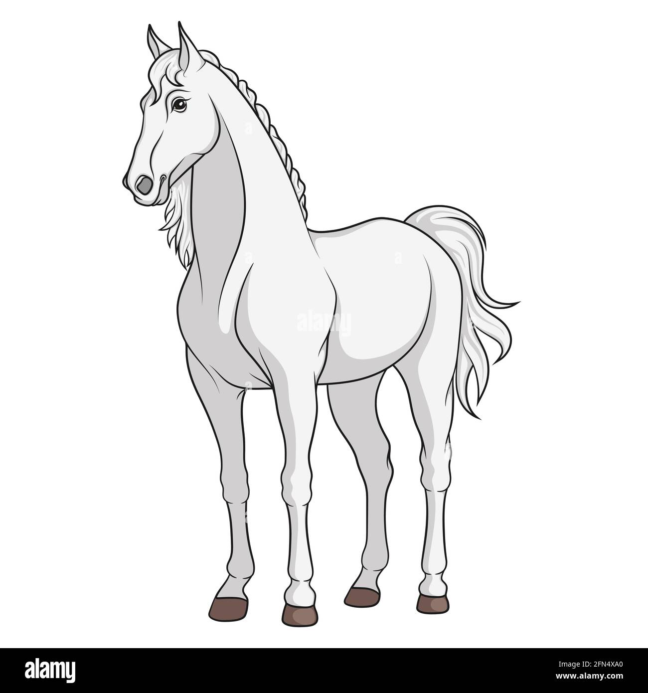 Beautiful white horse on Stock Vector Images - Alamy