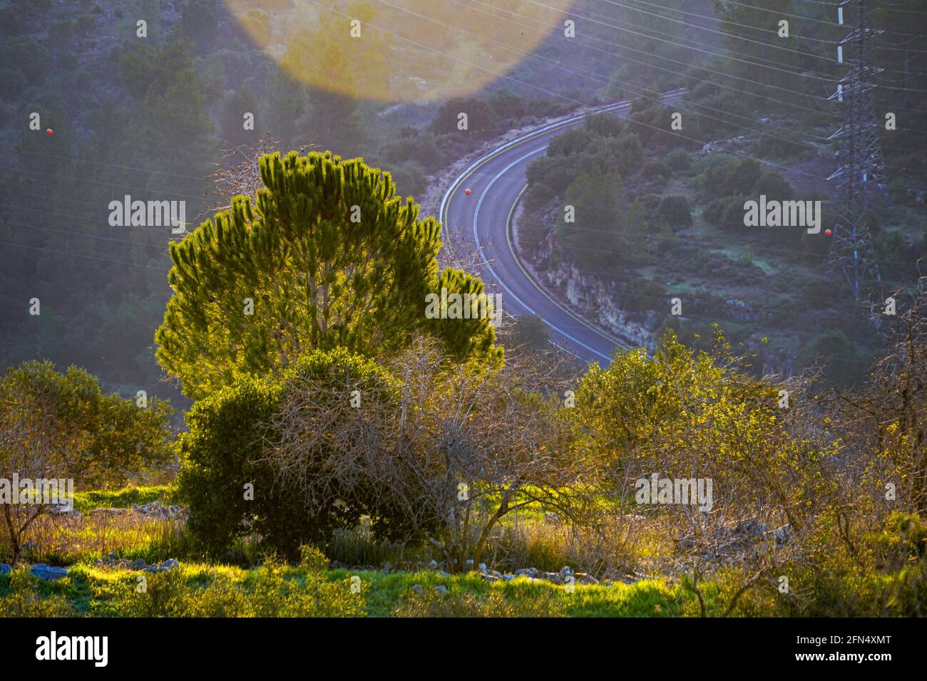 Sataf hi-res stock photography and images - Alamy