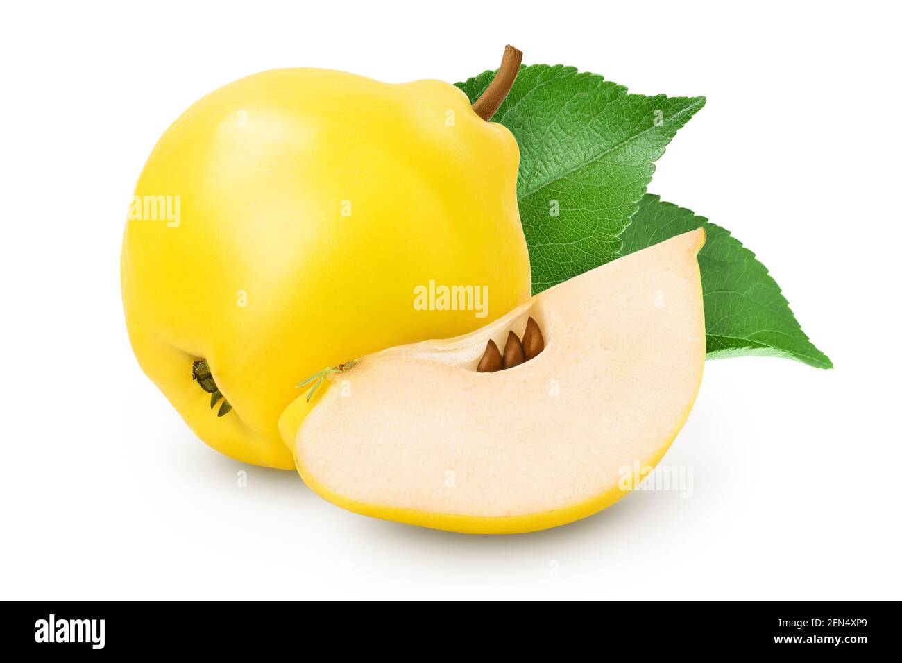 Fresh quince with leaf isolated on the white background with clipping ...