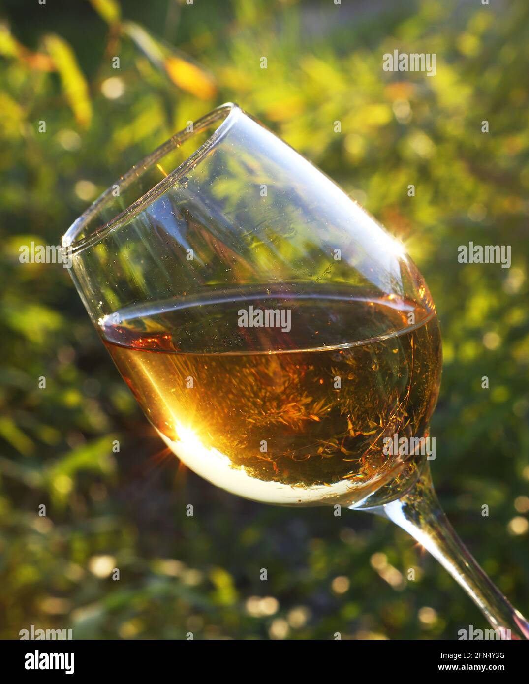 Still life with white wine Stock Photo - Alamy
