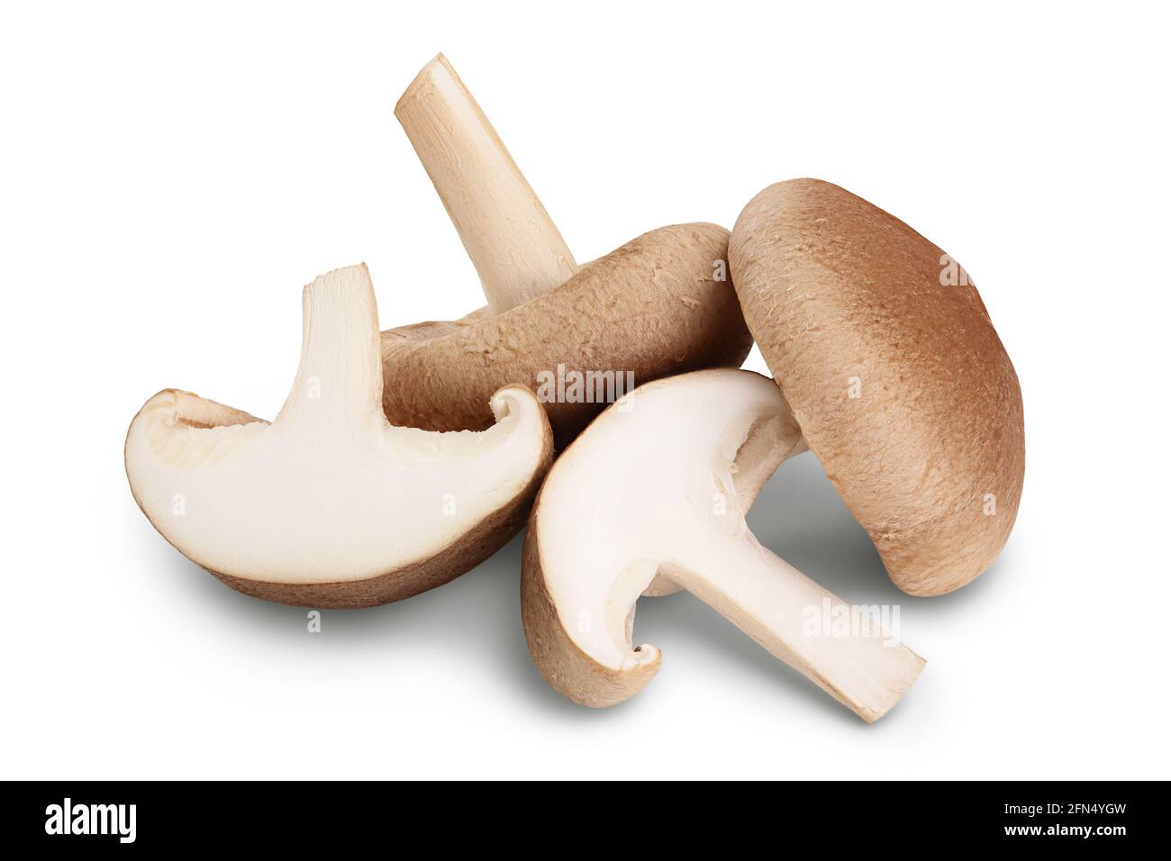 Fresh Shiitake mushroom isolated on white background with clipping path ...