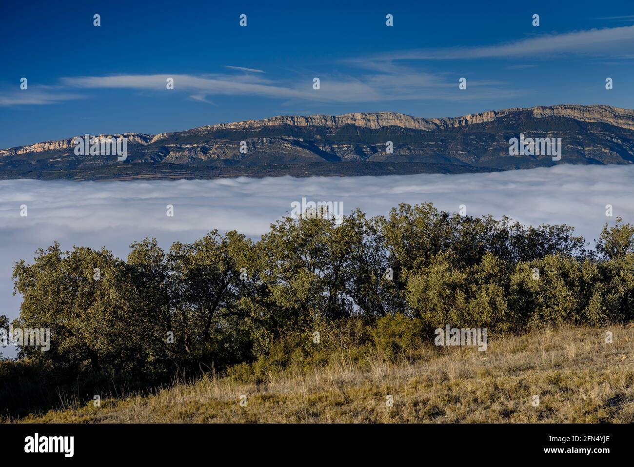 Serra del mont hi-res stock photography and images - Alamy