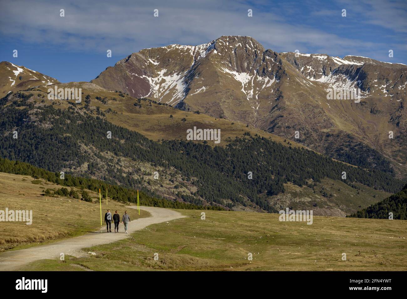 Pla de Beret in autumn. In the background, the Tuc de Barlonguèra peak ...