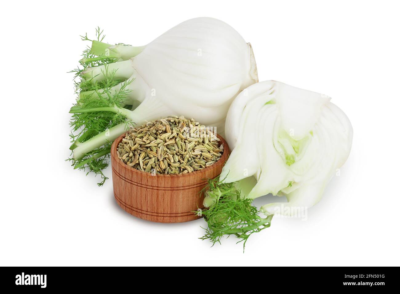 fresh fennel bulb with seed isolated on white background with clipping ...