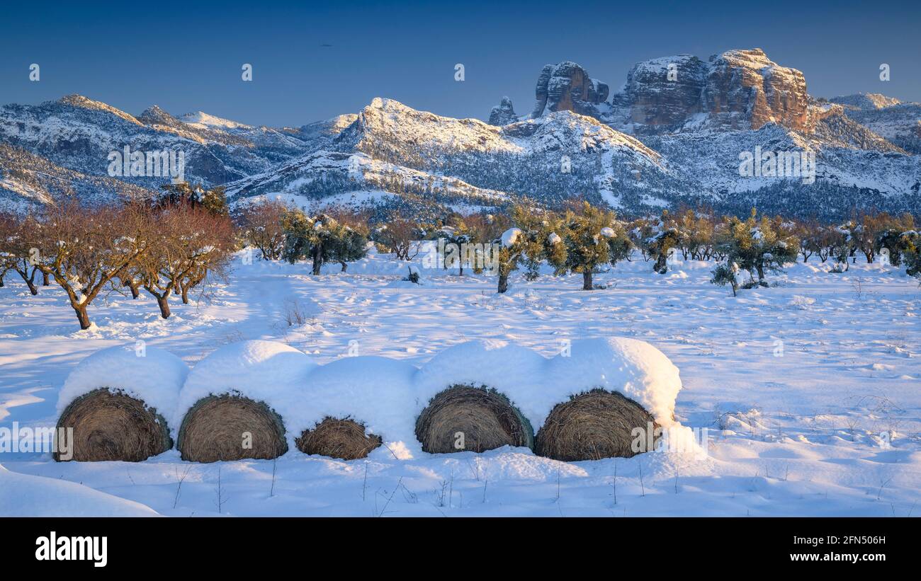Roques de Benet rocks, near Horta de Sant Joan, in a winter snowy ...