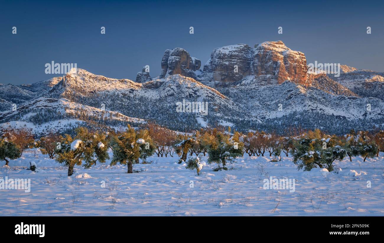 Roques de Benet rocks, near Horta de Sant Joan, in a winter snowy ...