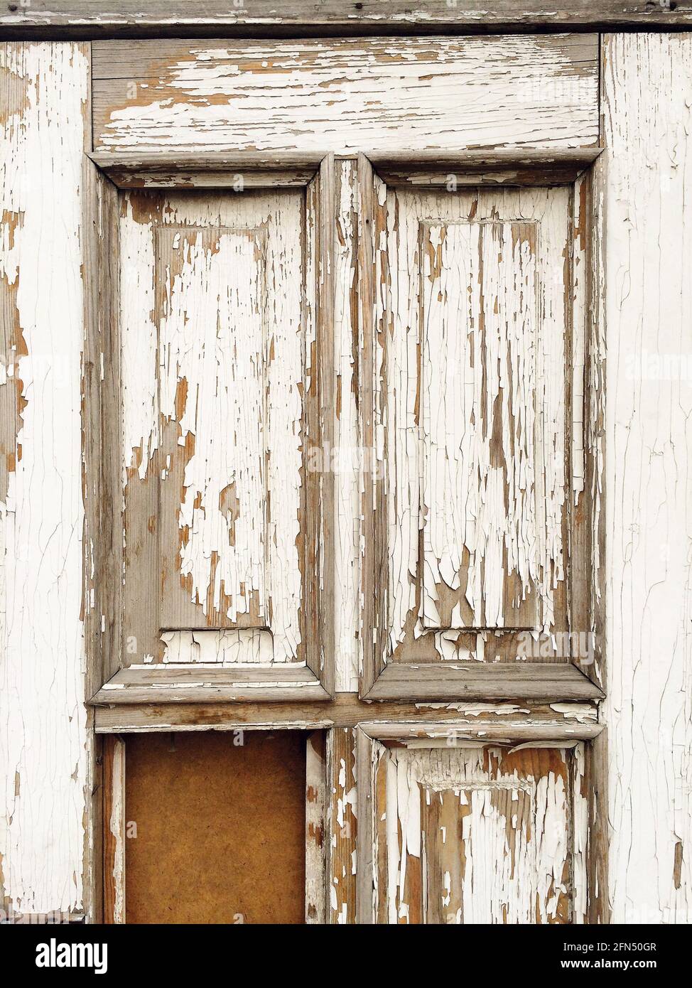 White Door Texture