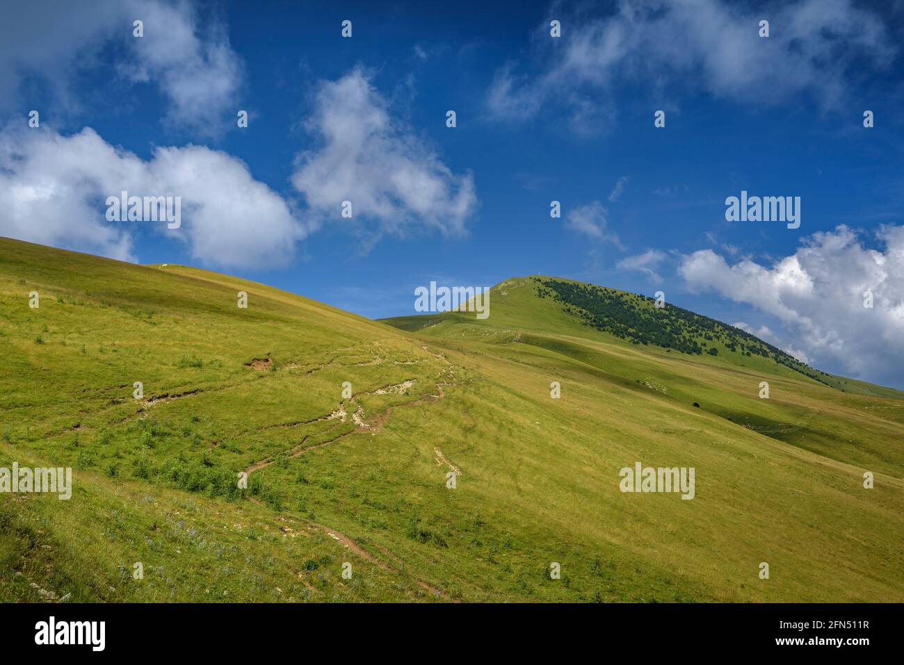 Sierra oriental verano hi-res stock photography and images - Alamy