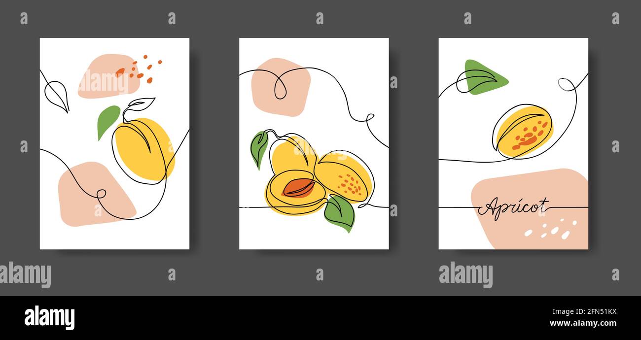 Apricot fruits, wall line art decor. Set of vector illustrations, one ...