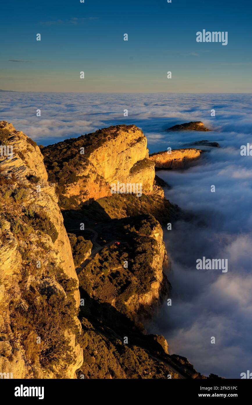 Roig sole hi-res stock photography and images - Alamy
