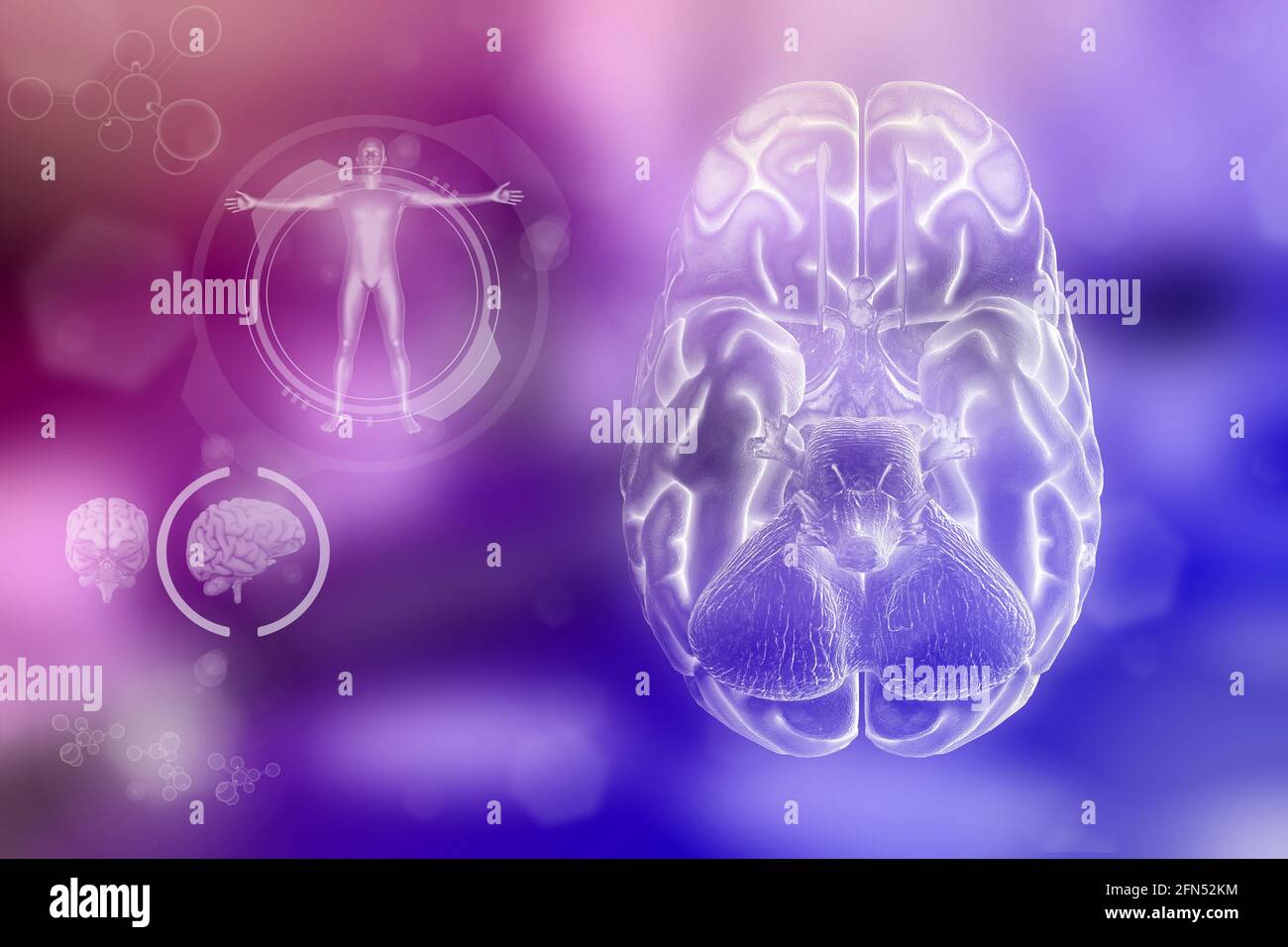 Neurosurgery Wallpaper