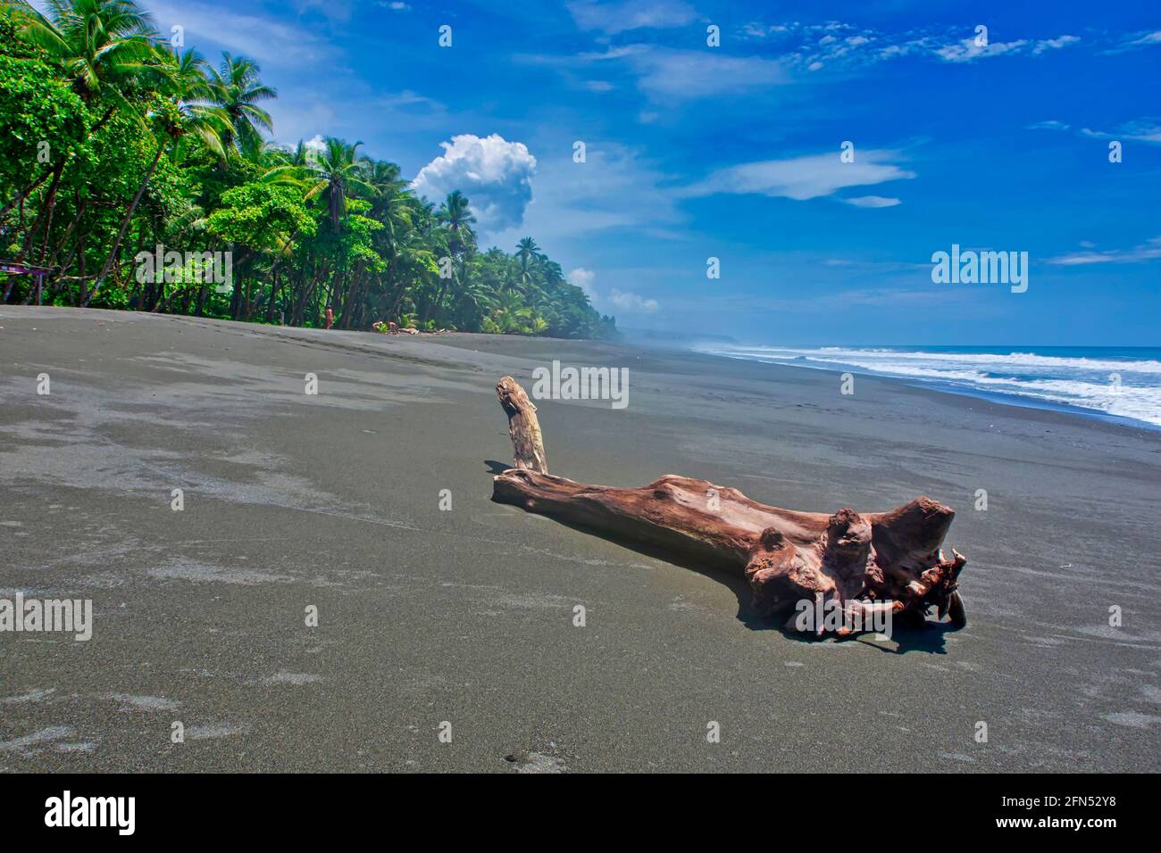 Beach, Corcovado National Park, Osa Conservation Area, Osa Peninsula, Costa Rica, Central ...