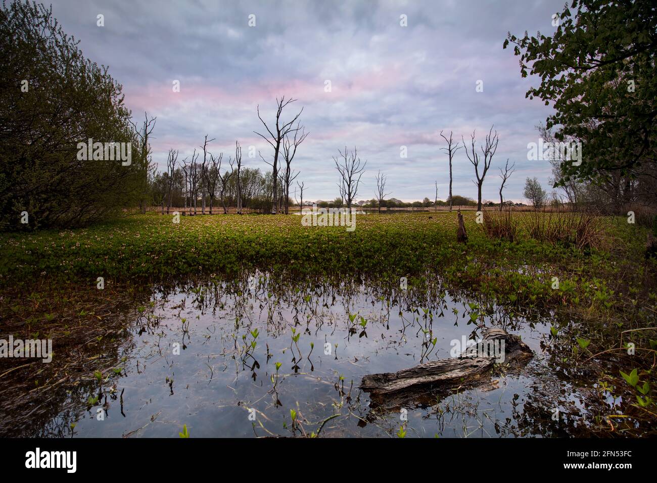 Arcot hi-res stock photography and images - Alamy