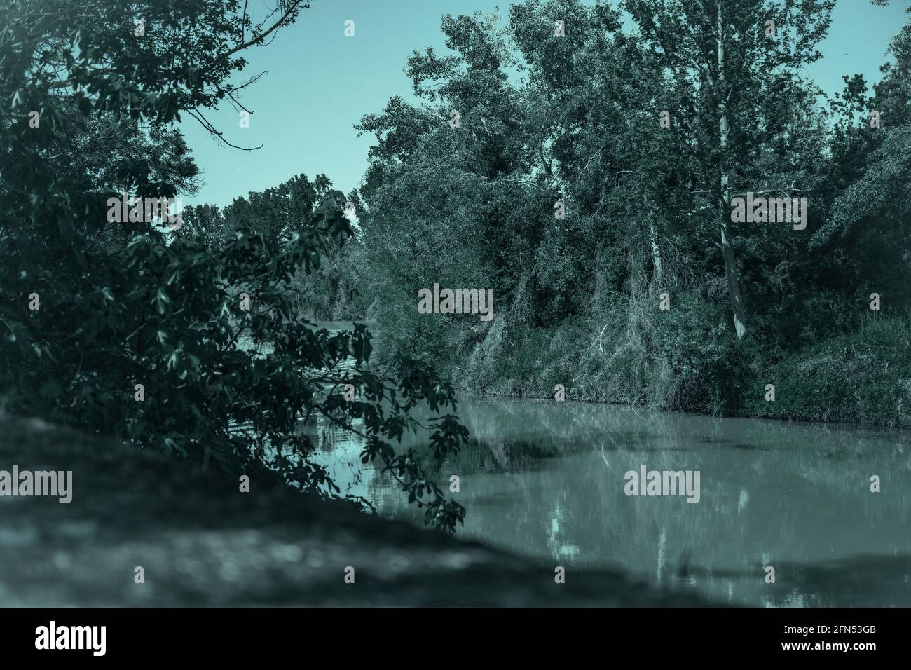 river landscape with green trees Stock Photo - Alamy