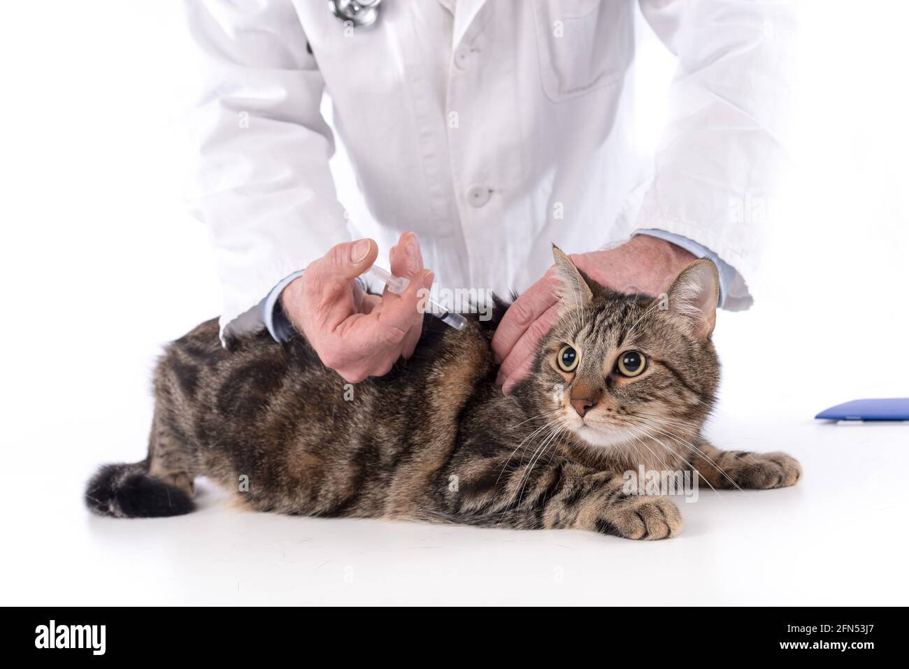 Cat injection hi-res stock photography and images - Alamy