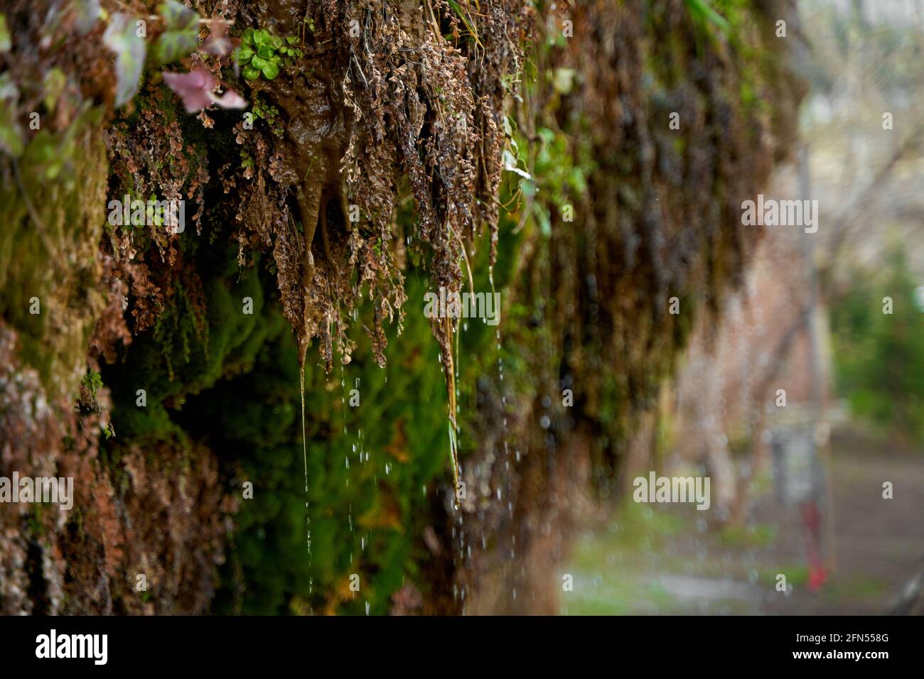 Water flows down stone wall hi-res stock photography and images - Alamy