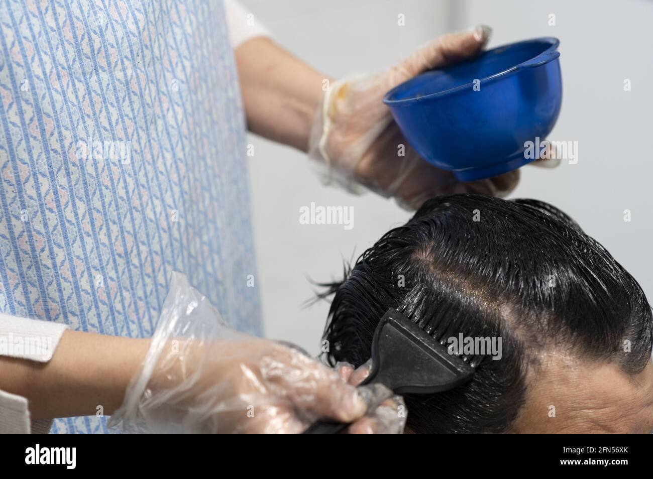 Hairdresser with single-use plastic gloves dying a woman's hair roots ...