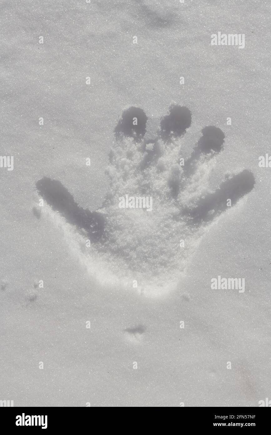 Snow cone man hi-res stock photography and images - Alamy