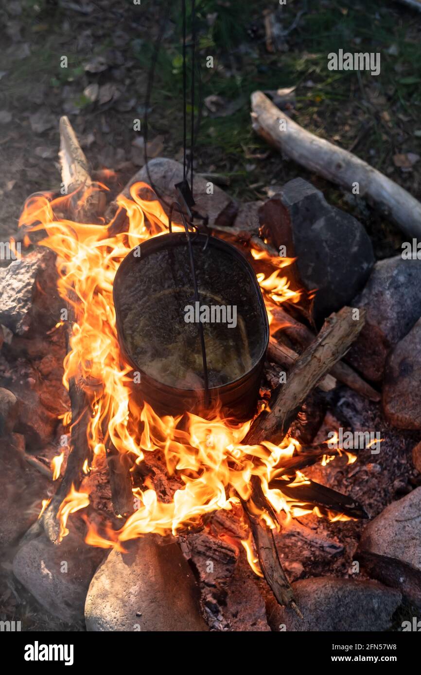 Pot of boiling water hangs over a campfire flame. Cooking in the camp ...