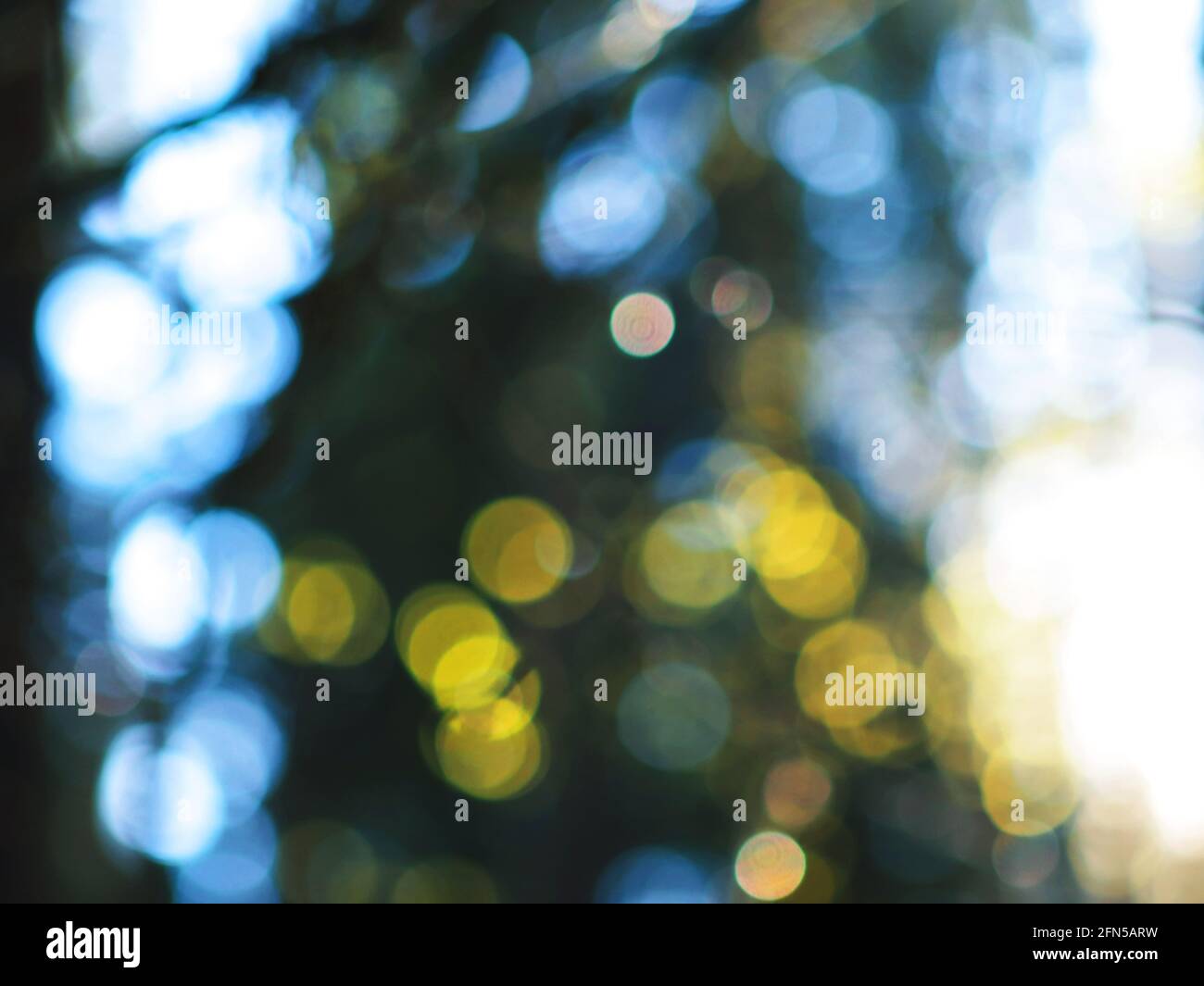 Out of focus forest with sunlight bokeh effect photo Stock Photo - Alamy