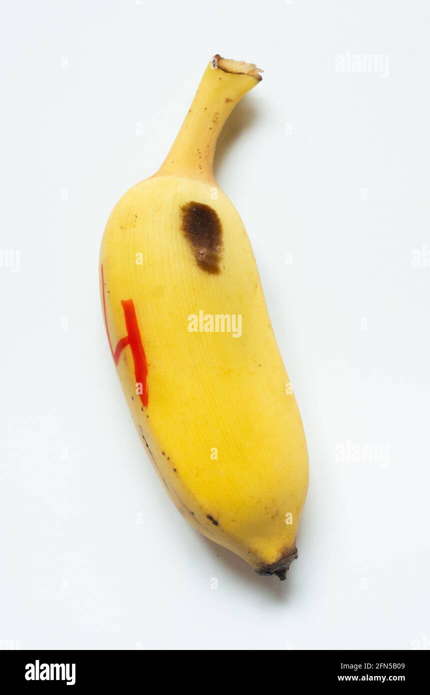 Plantain farm hi-res stock photography and images - Alamy