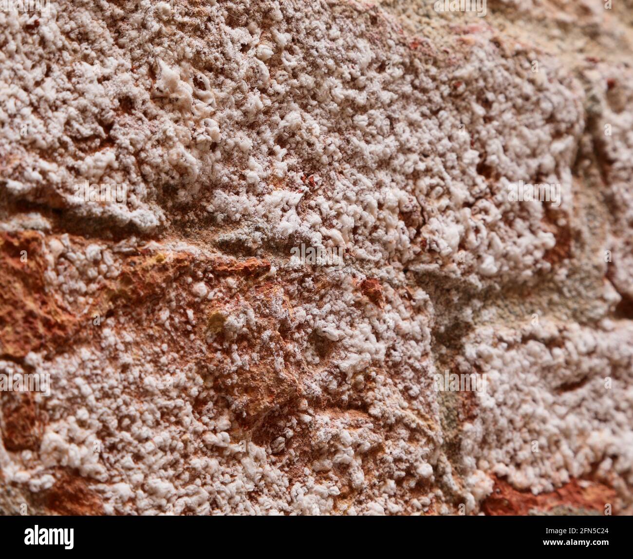 white salt that damages the wall of the building exposed to atmospheric ...