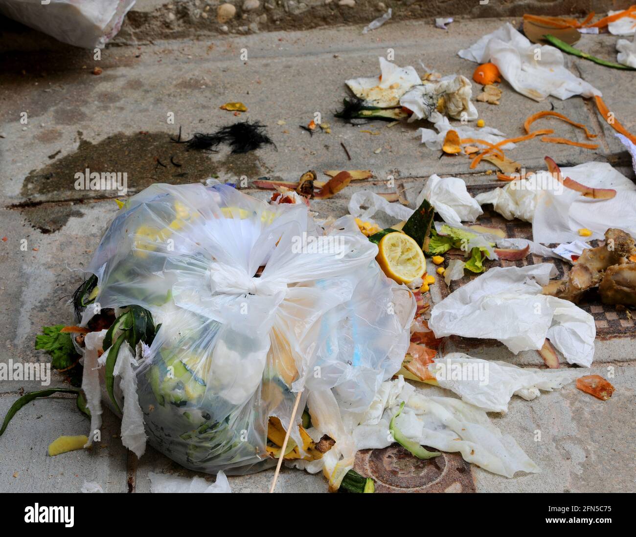 Chance The Rapper - Tree (feat. Lil Wayne & Smino) [Music Video] | ktt2