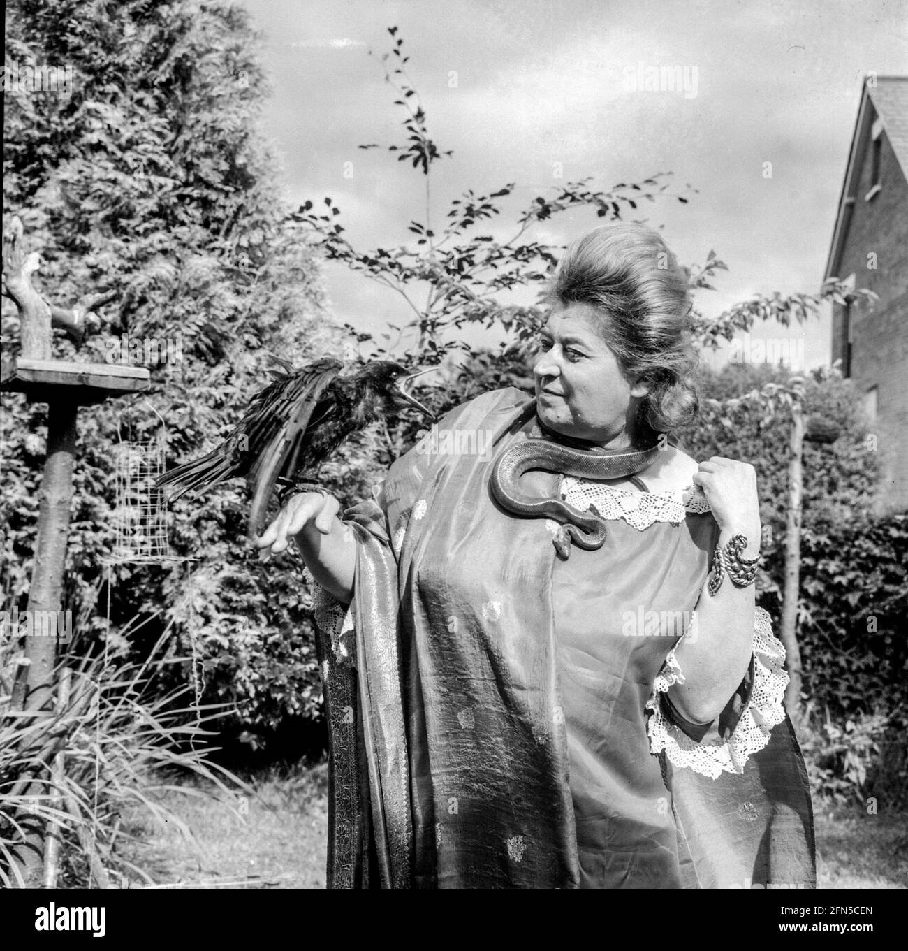 The Witch of the New Forest, Sybil Leek, holds her familiar and pet ...