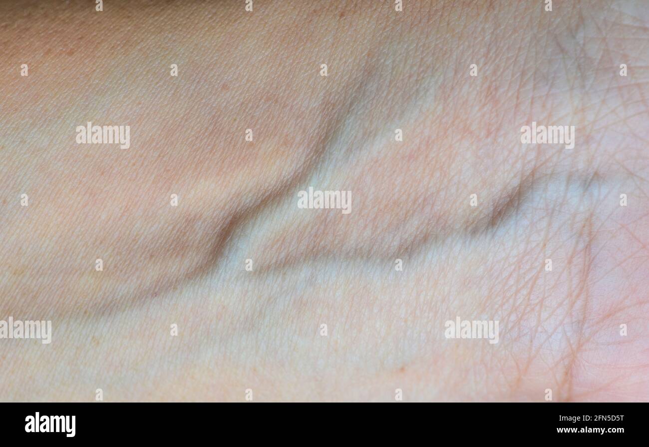 the blood veins of human Stock Photo - Alamy