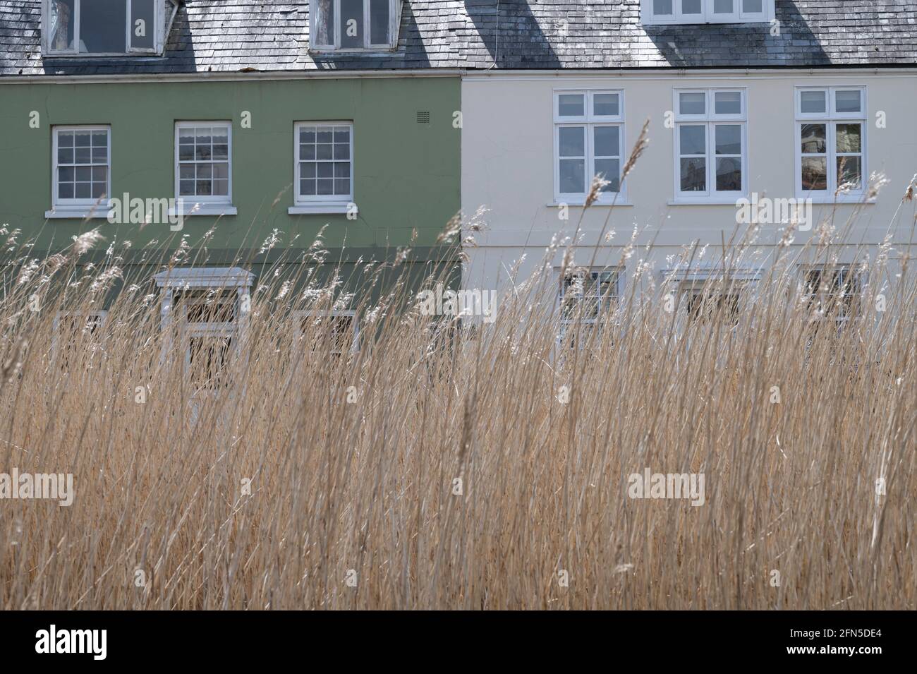 Cottages at Lower Batson, Salcombe, Devon, England Stock Photo - Alamy