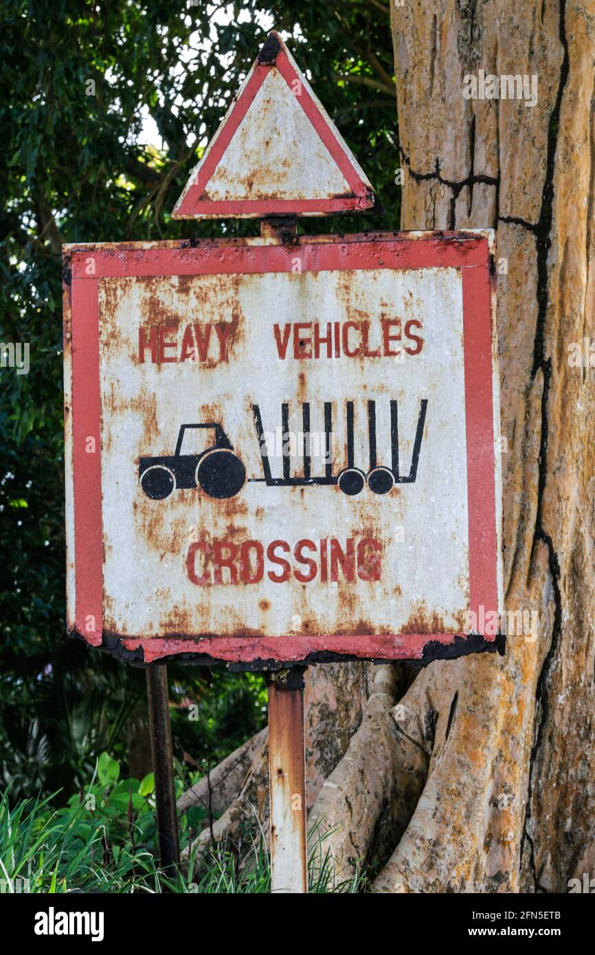 Saint Hubert in Mauritius Stock Photo - Alamy