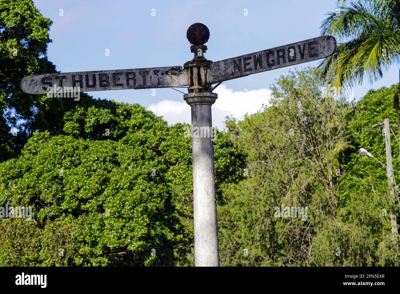 Saint Hubert in Mauritius Stock Photo - Alamy