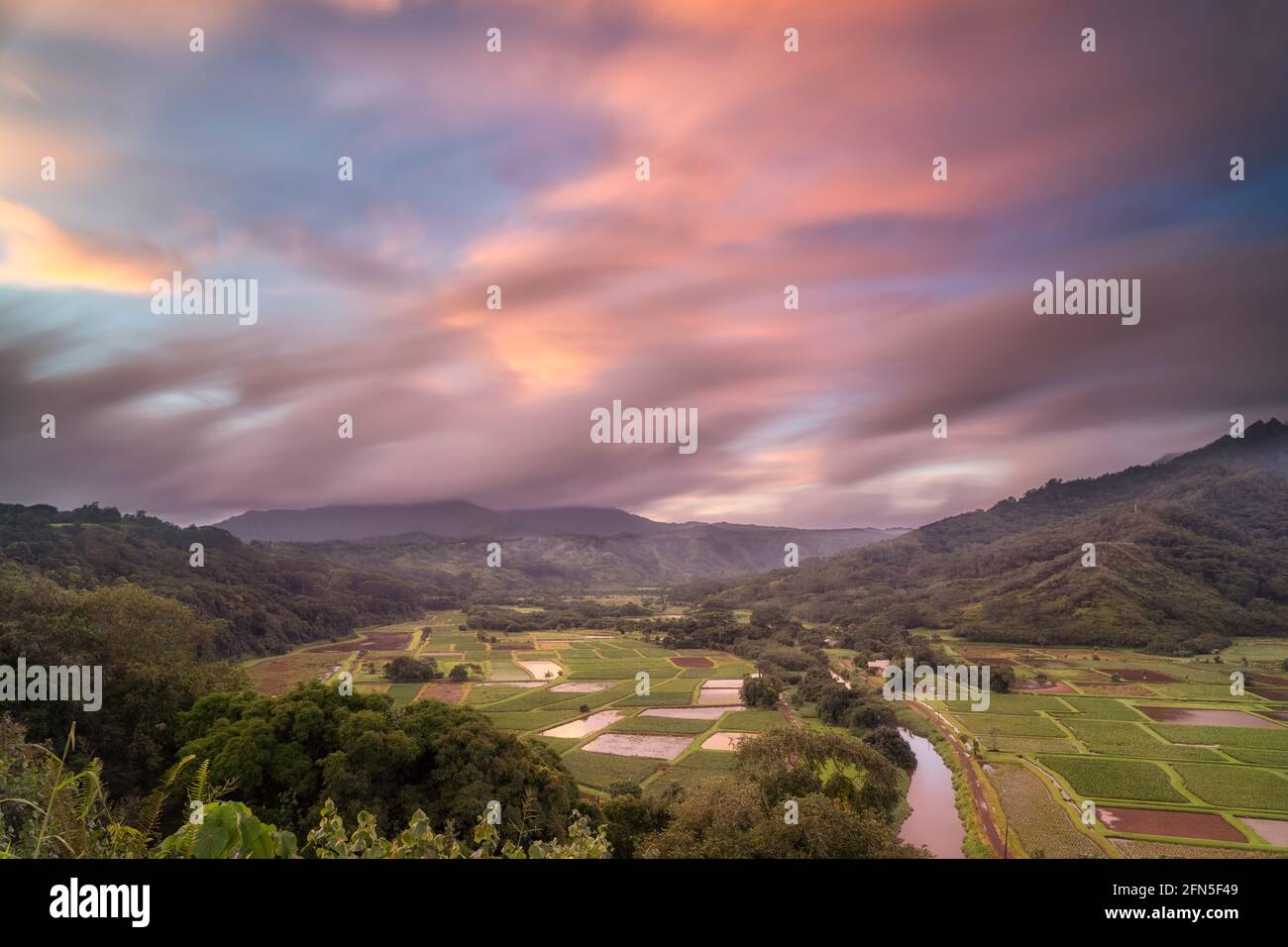 Taro field overlook near Hanalei. Kauai, Hawaii Stock Photo - Alamy