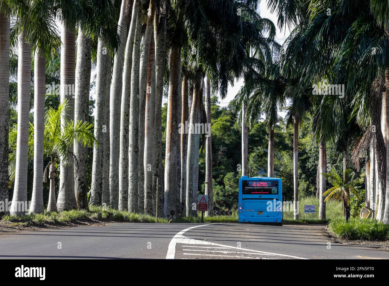 Saint Hubert in Mauritius Stock Photo - Alamy